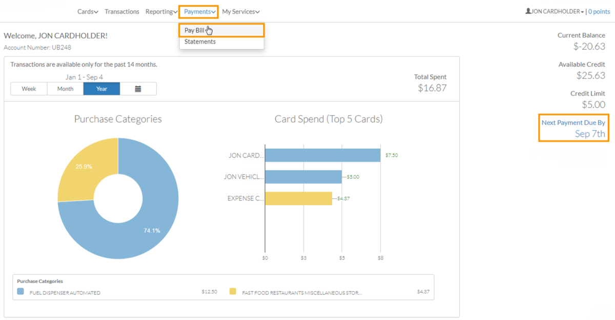 View Statements – iConnectData Help Center